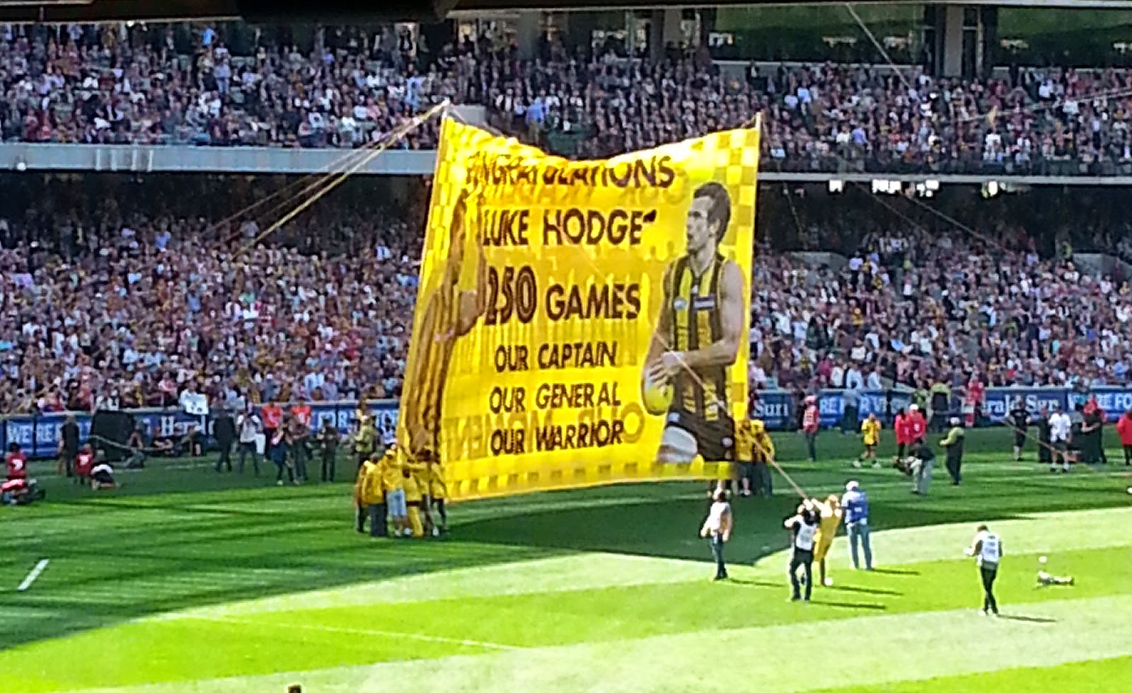 jouljet: Happy Team At Hawthorn Go Back To Back - Premiers 2014