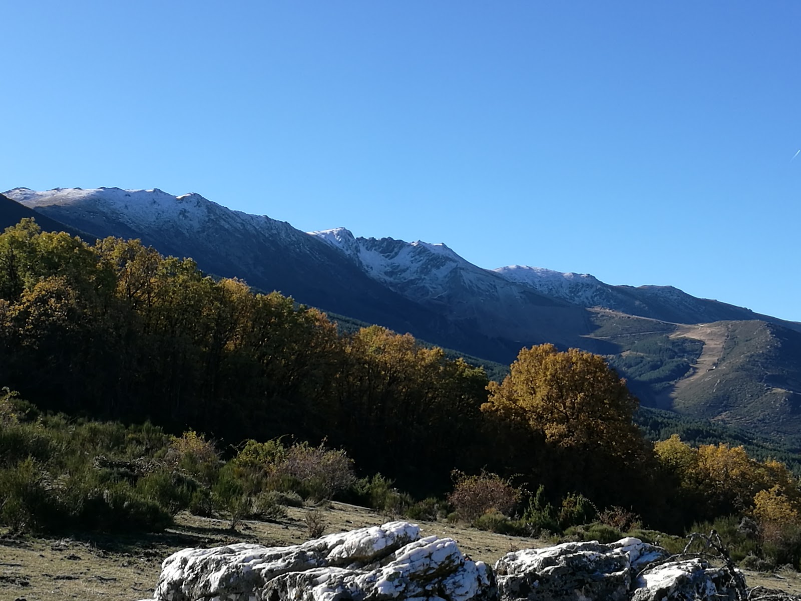 Wikiloc | Ruta Hayedo de la Pedrosa, Riofrío de Riaza