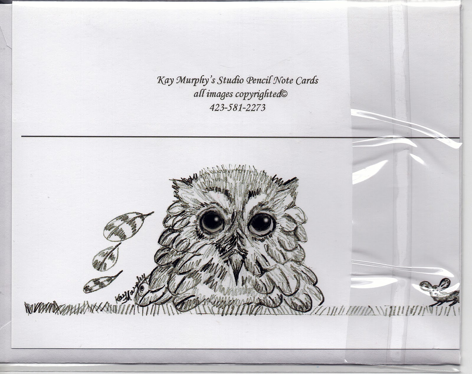 Kay Murphy's Studio Kay Murphy-Wallace:artist