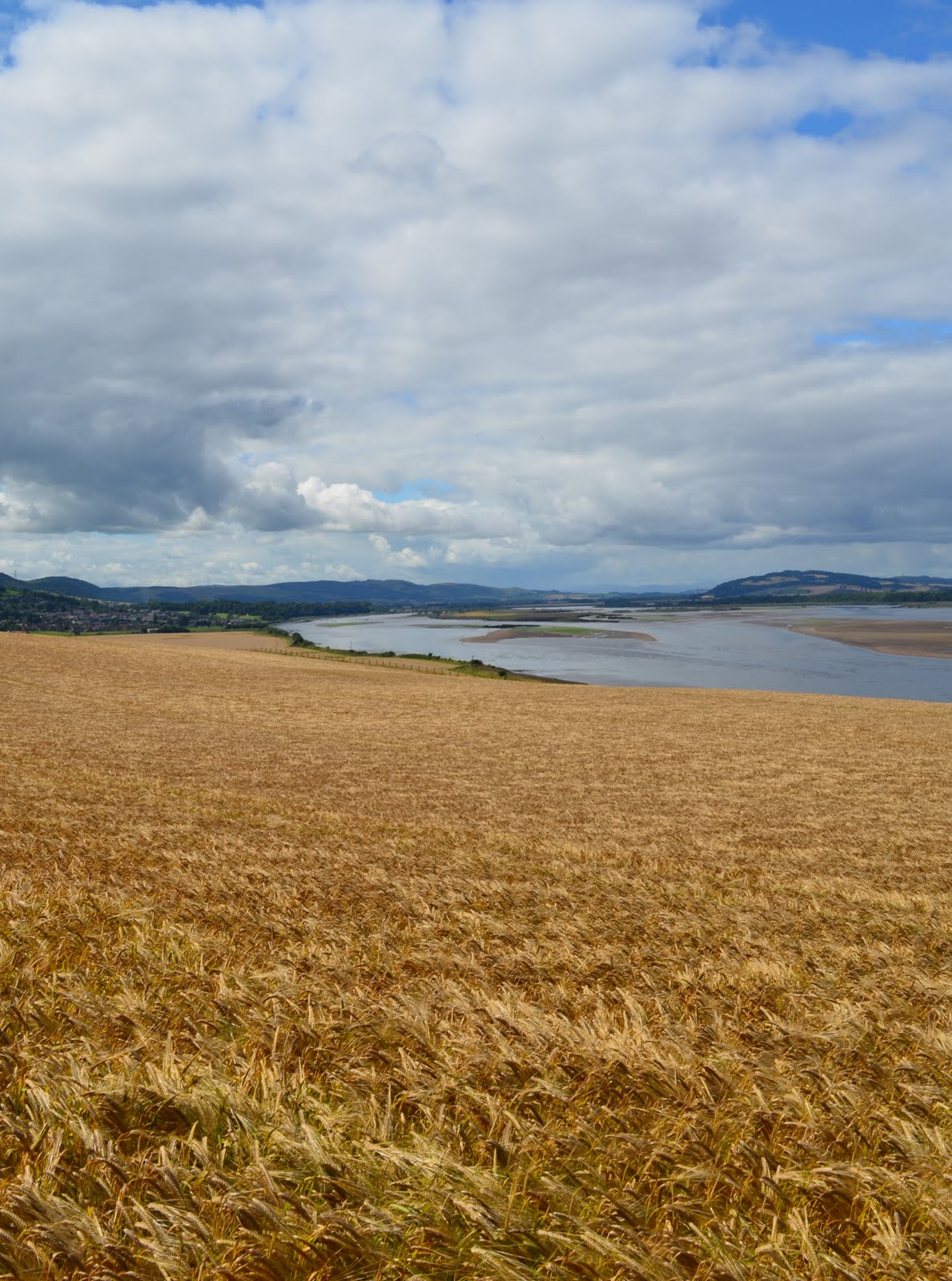 Tour Scotland: Tour Scotland Photographs View River Tay From North Fife ...