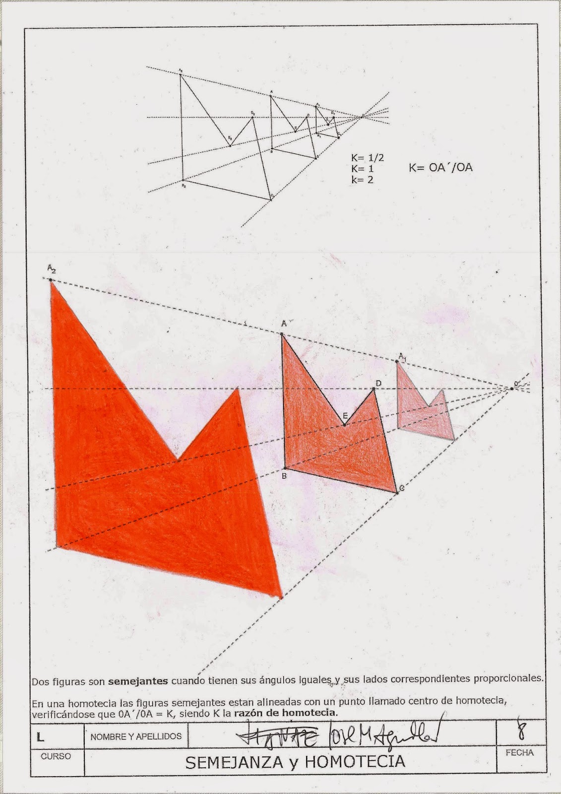 TRANSFORMACIONES GEOMÉTRICAS: HOMOTECIA | .imagenesola imagen y la ...