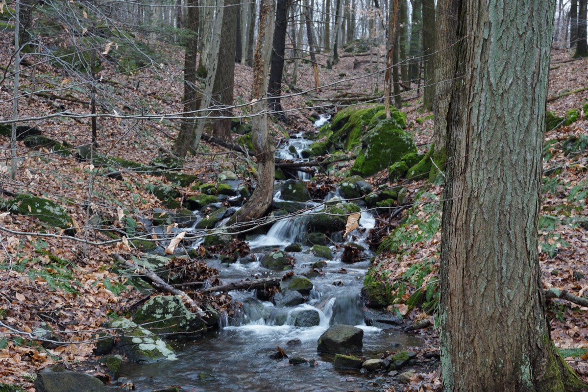 Harriman Hiker: Harriman State Park and Beyond: Blue Mountain ...