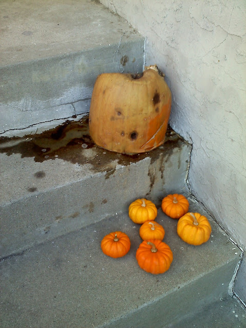 Perich Brothers And Sister Zombie Pumpkin Infestation