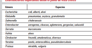 Cliny Lab: Enterobacterias