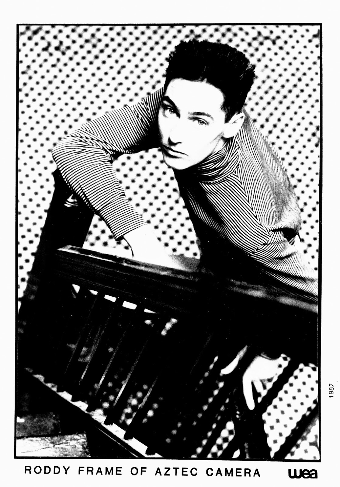 sound of young scotland: Roddy Frame : Promo shot
