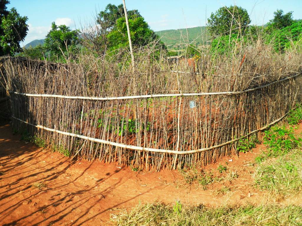 INDABA AFRICA: BUSTANI NI MUHIMU ILEJE ANGALAU KILA KAYA INA BUSTANI