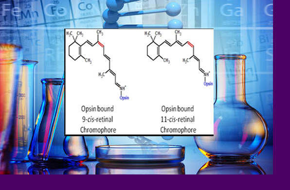 Chromophores and Chromophoric Shifts chemistry - INSIDE CHEMISTRY