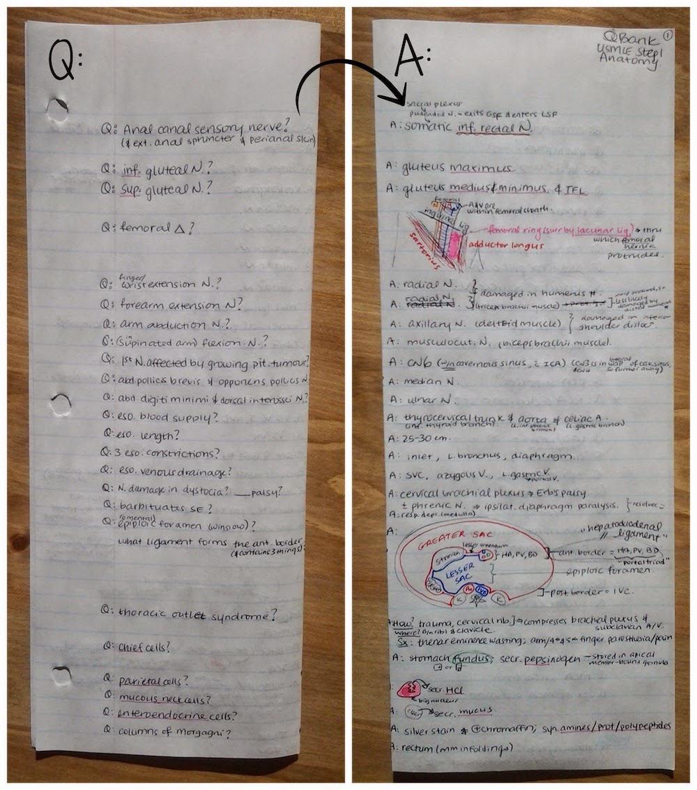 Winding Spiral Case: How To Study: Quizzing Yourself
