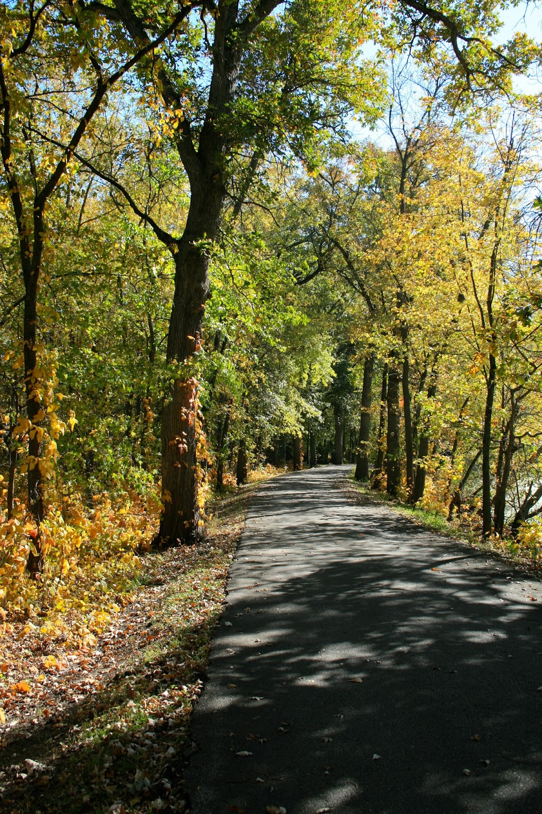 Amy's Creative Pursuits: Enjoying the Fall Colors in Merrick State Park