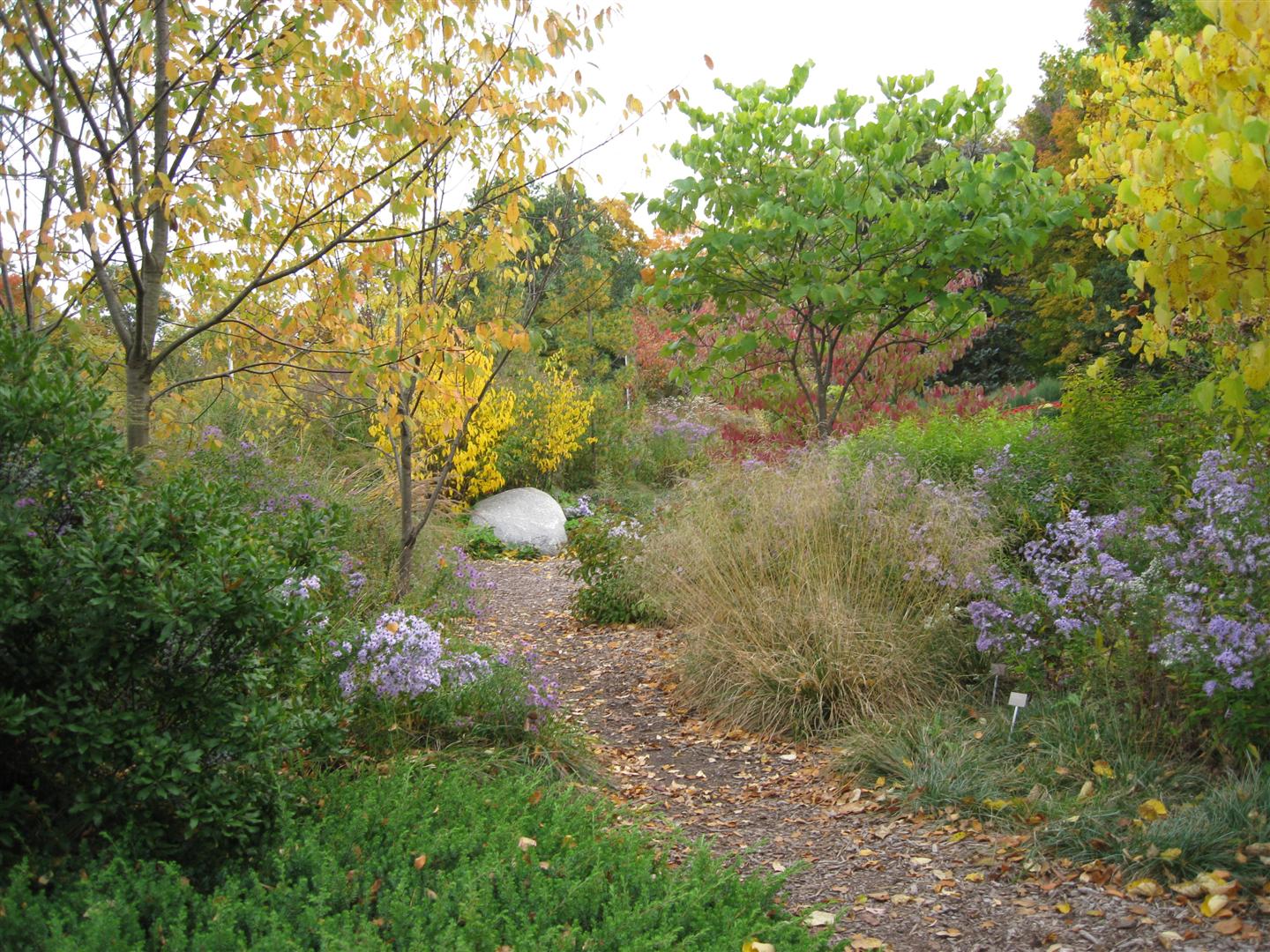 The Garden Wanderer: The Toronto Botanical Gardens - Part Two