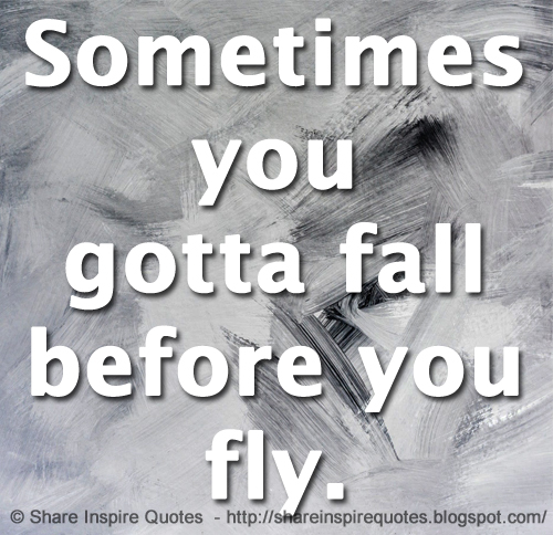 Sometimes You Gotta Fall Before You Fly