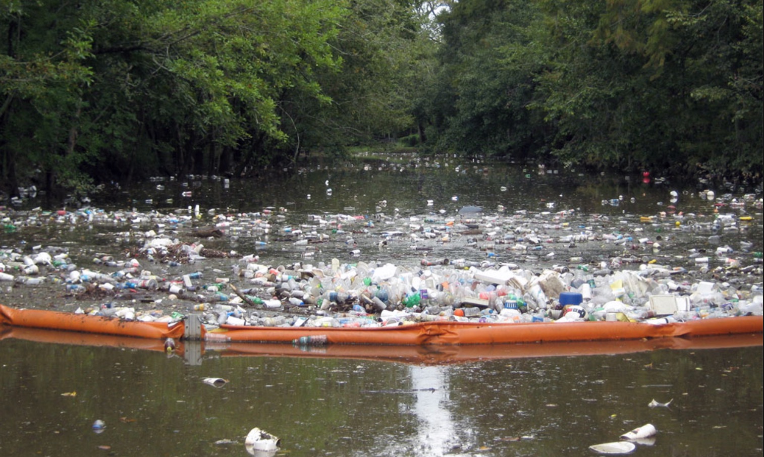 PA Environment Digest Blog: Litter In Our Waterways, Recycling Slow ...