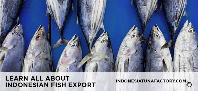 Tuna Dark Meat Color, Flavor and Nutritional Value | Yellowfin Tuna ...