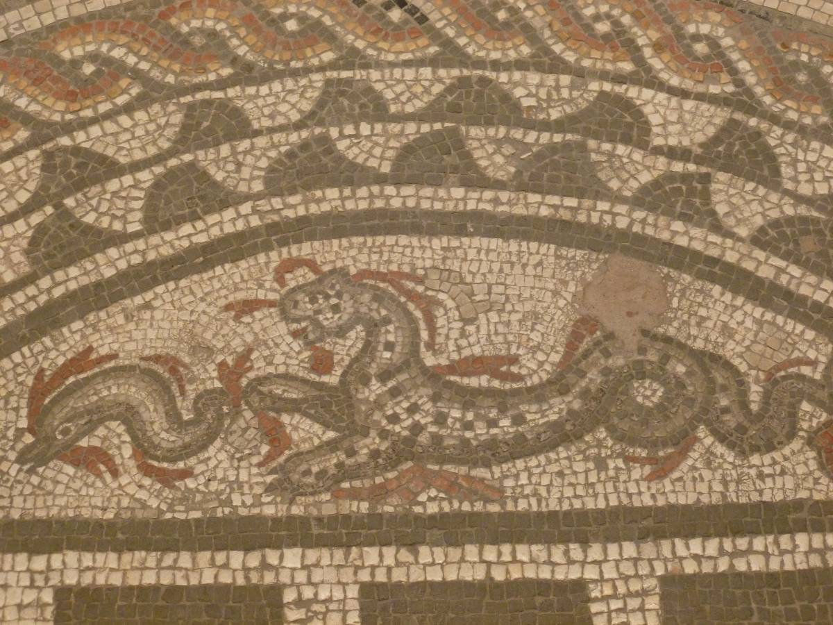 The Roman Mosaics of Cirencester
