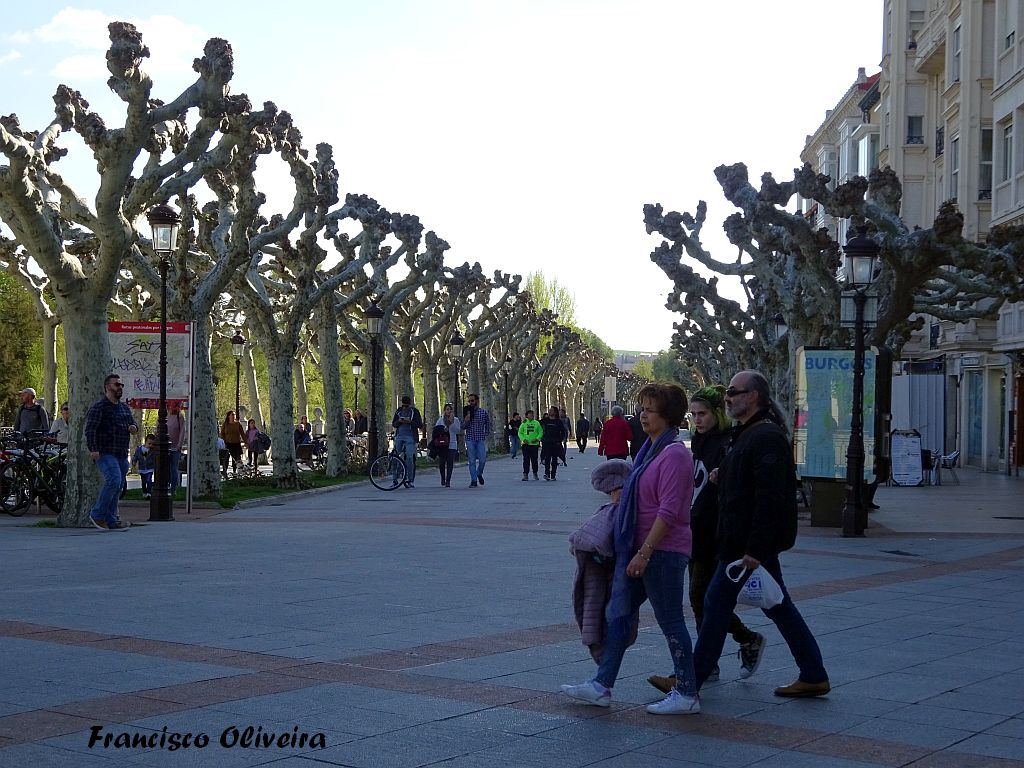 Andarilhar: Paseo de la Audiencia