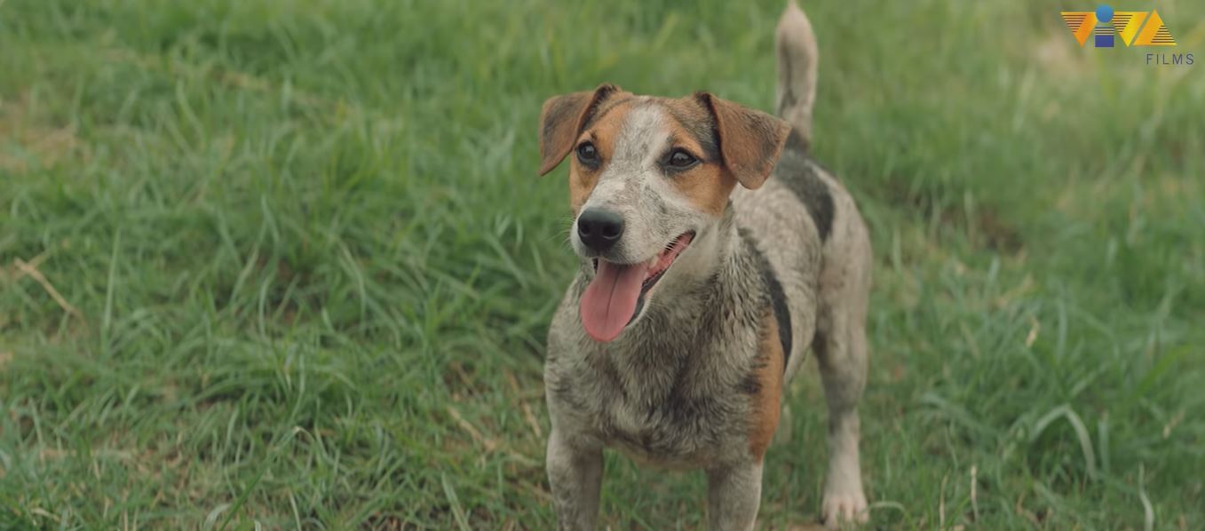 Unforgettable: Movie Review