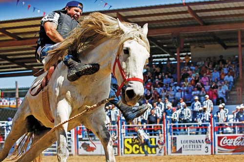 ANGOLA PRISON RODEO!!
