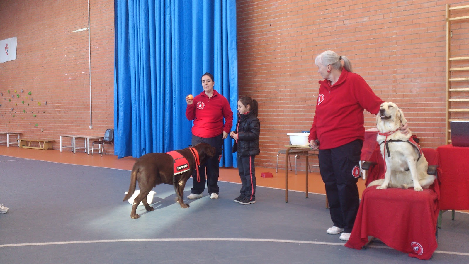 Mil recursos: TERAPIA CON PERROS