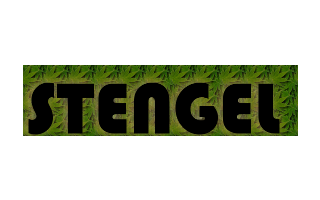 Kenneth Stengel: Kenny Stengel