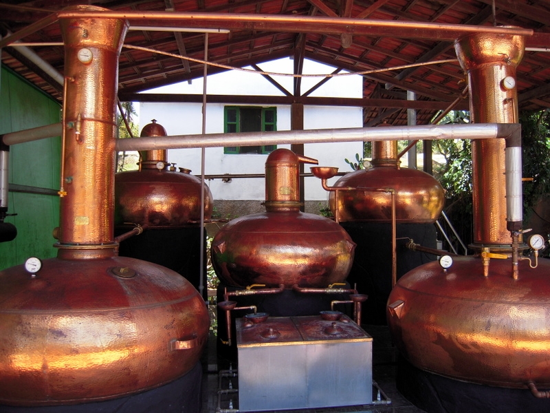 Sistemas Productivos Ron