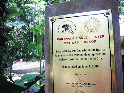 Make It Davao: Philippine Eagle - King of Philippine Skies