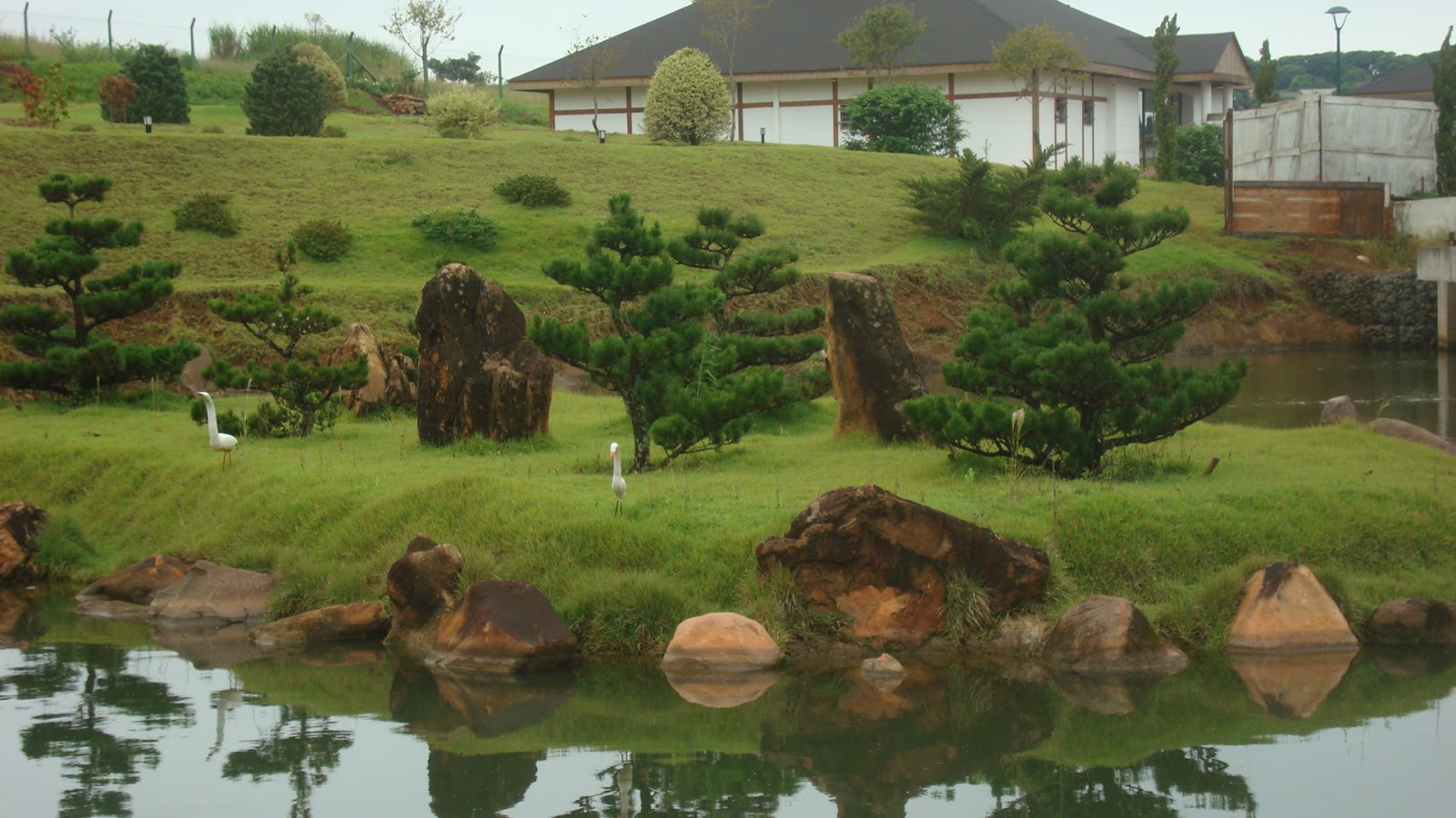 GEORGE TANAKA: PARQUE DO JAPÃO - MARINGA (PR)