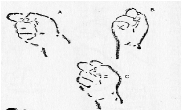 Isshin - Concentration the Art: Itoman on Toudi fist types