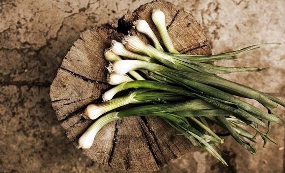 ShendetiIm.al: Qepa e re apo (qepa e njome) burim i shkëlqyer i vitaminave