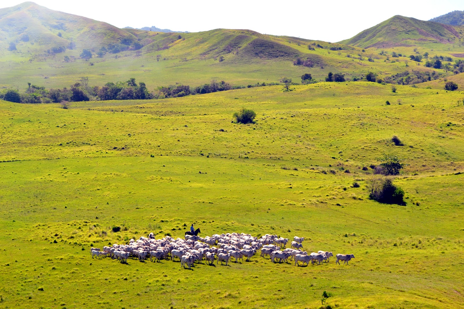 I love LIFE. I live LOVE.: Masbate: A Taste of Country II Balud Ranch ...