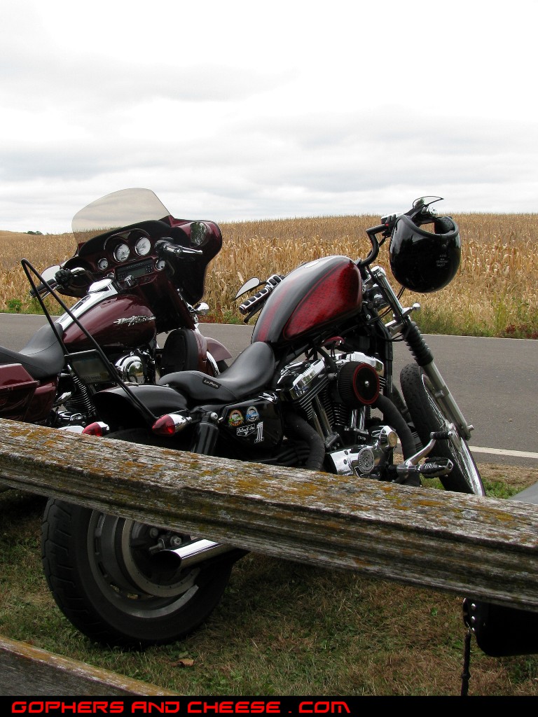 Gophers and Cheese: 2011.09