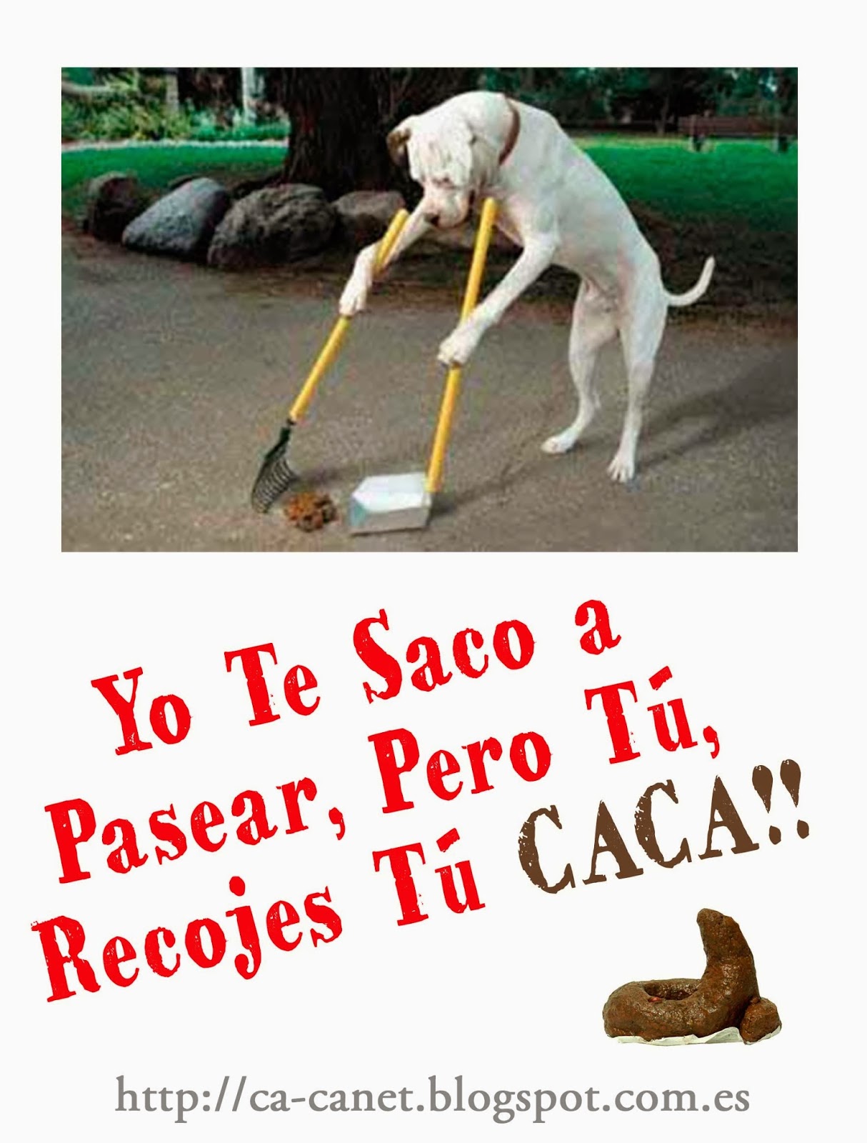 Cansados de Tanta CACA en CANET DE MAR