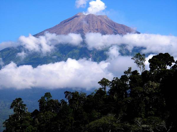 INFORMASI PENDAKIAN GUNUNG KERINCI | Wisata Alam