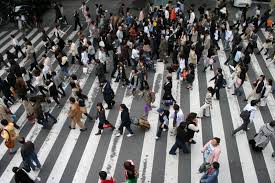 3.1 Sociedad, organización social. | Desarrollo Sustentable