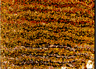 dancing with my shadow: Kinect depth variance analysis