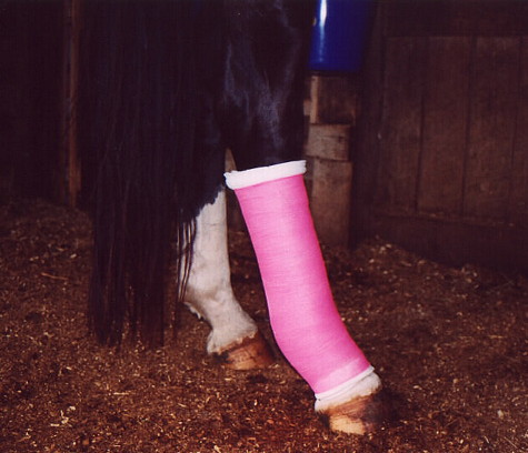 Trials of an Equine Veterinary Intern: The 4 Stages of the Stack Bandage