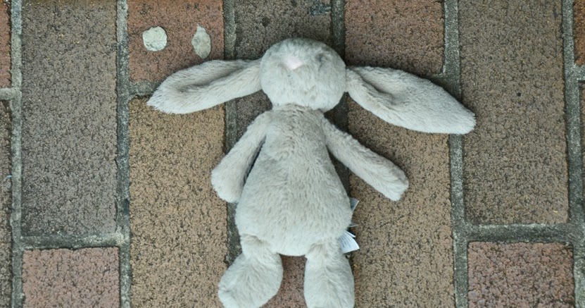 Kings Cross Times: Stoned bunnies: More hilarious nonsense from the DEA