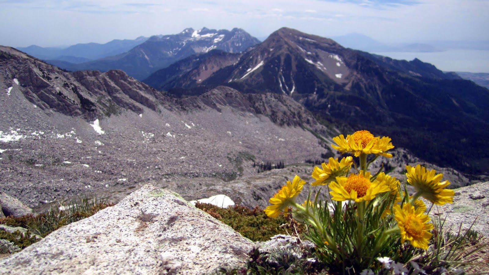 wasatch and beyond: Pfeifferhorn