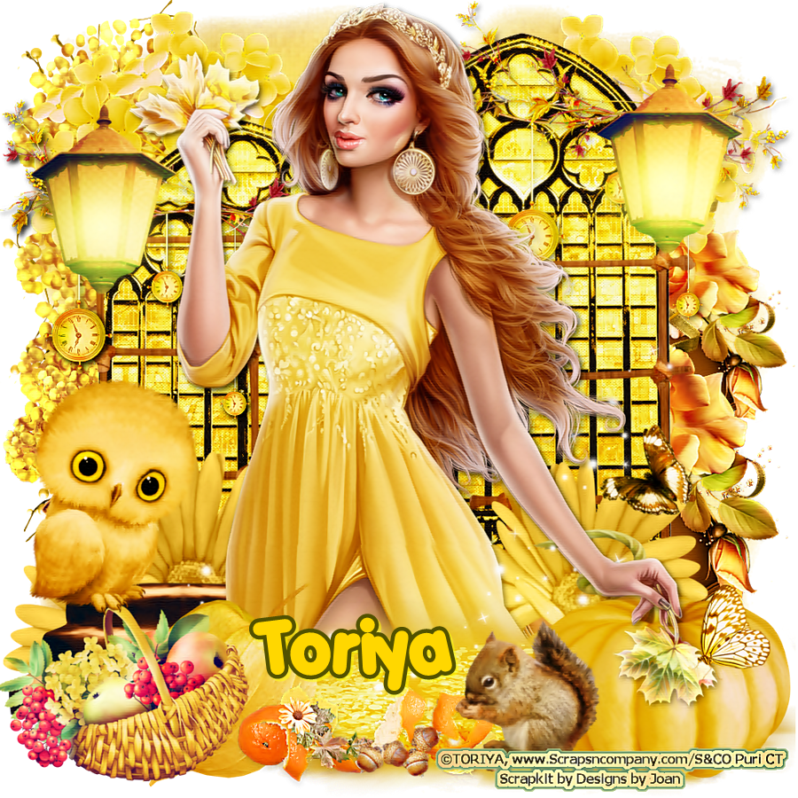 MI RINCÓN GÓTICO: AD CT TEAM, "AUTUMN PRINCESS",