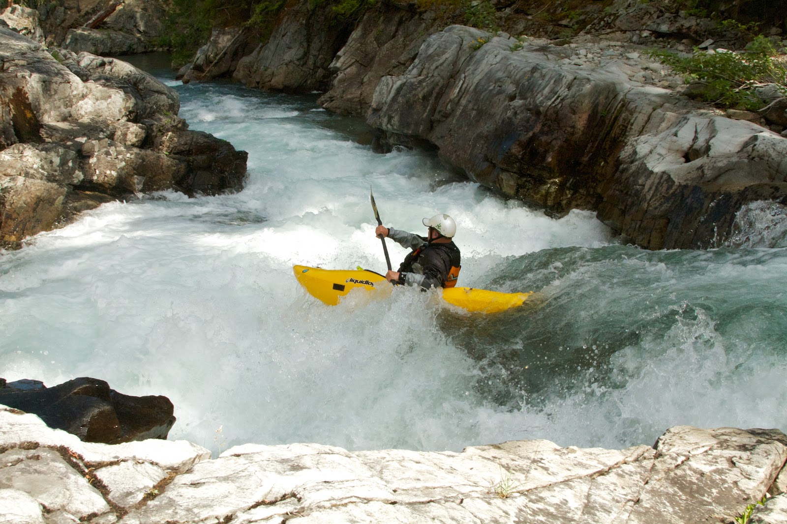 Fluid: As a lifestyle.: Cooperfest!