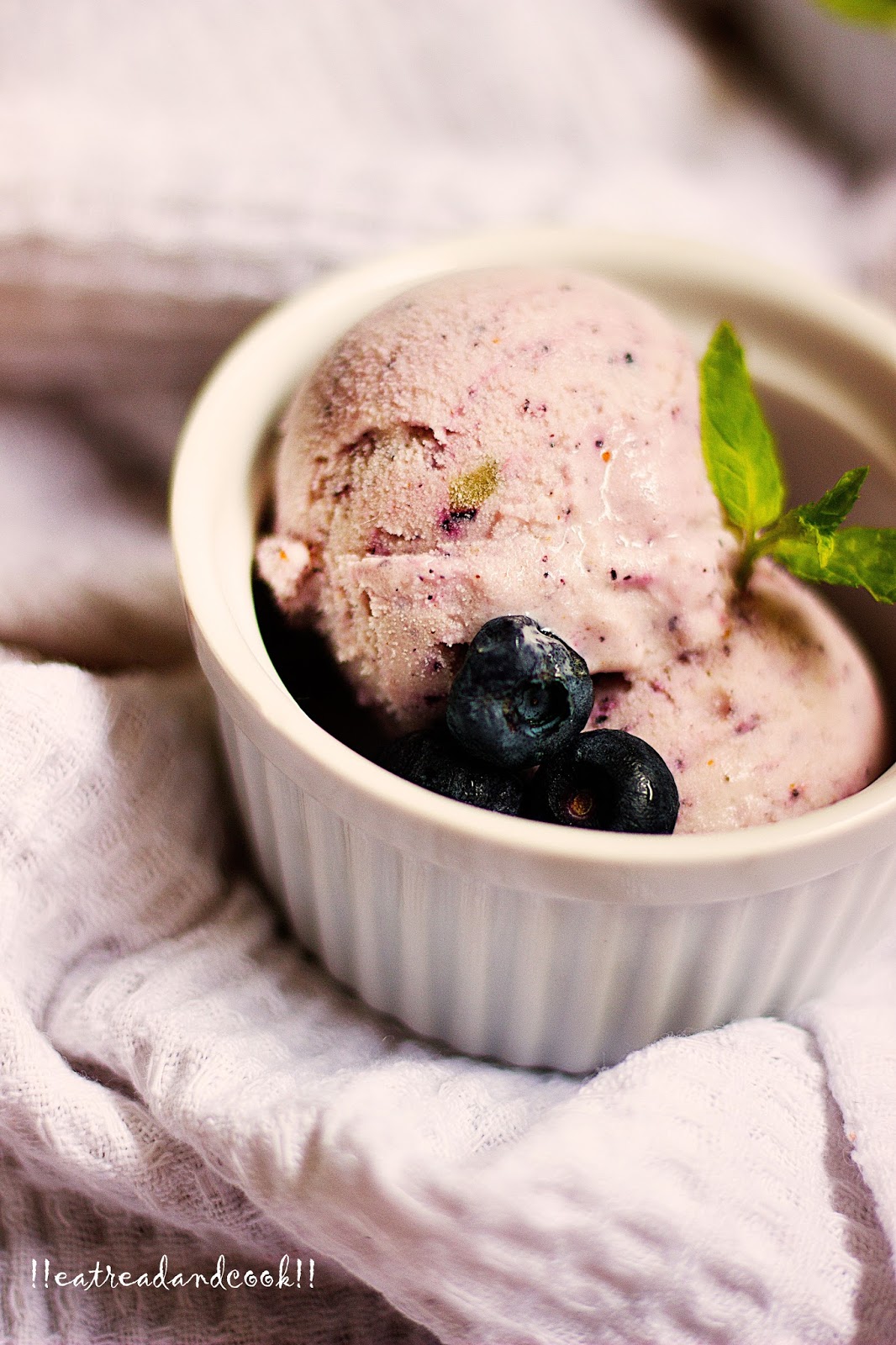 Blueberry Frozen Yogurt