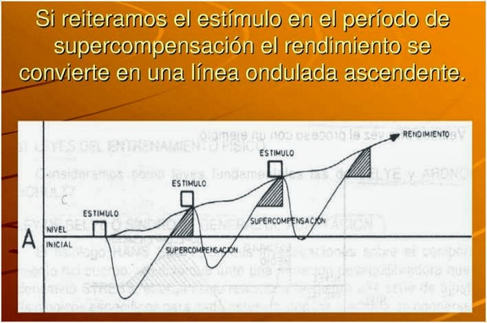 ÁREA DE EDUCACIÓN FÍSICA: LEYES FUNDAMENTALES DEL ENTRENAMIENTO