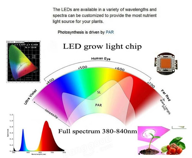 Technology - Tecnología: 240W Gardening Full Spectrum LED Plant Grow ...