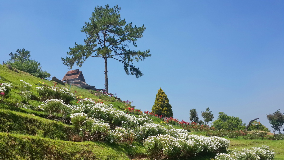 Trekking in Chiang Mai: Loop Trip Chiangmai to Maehongson Tour three ...