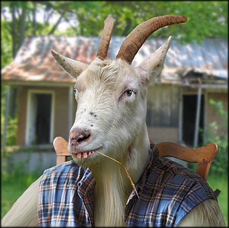 NANA K.: THE RHYTHMIC: APONKYE KWESI ATTA