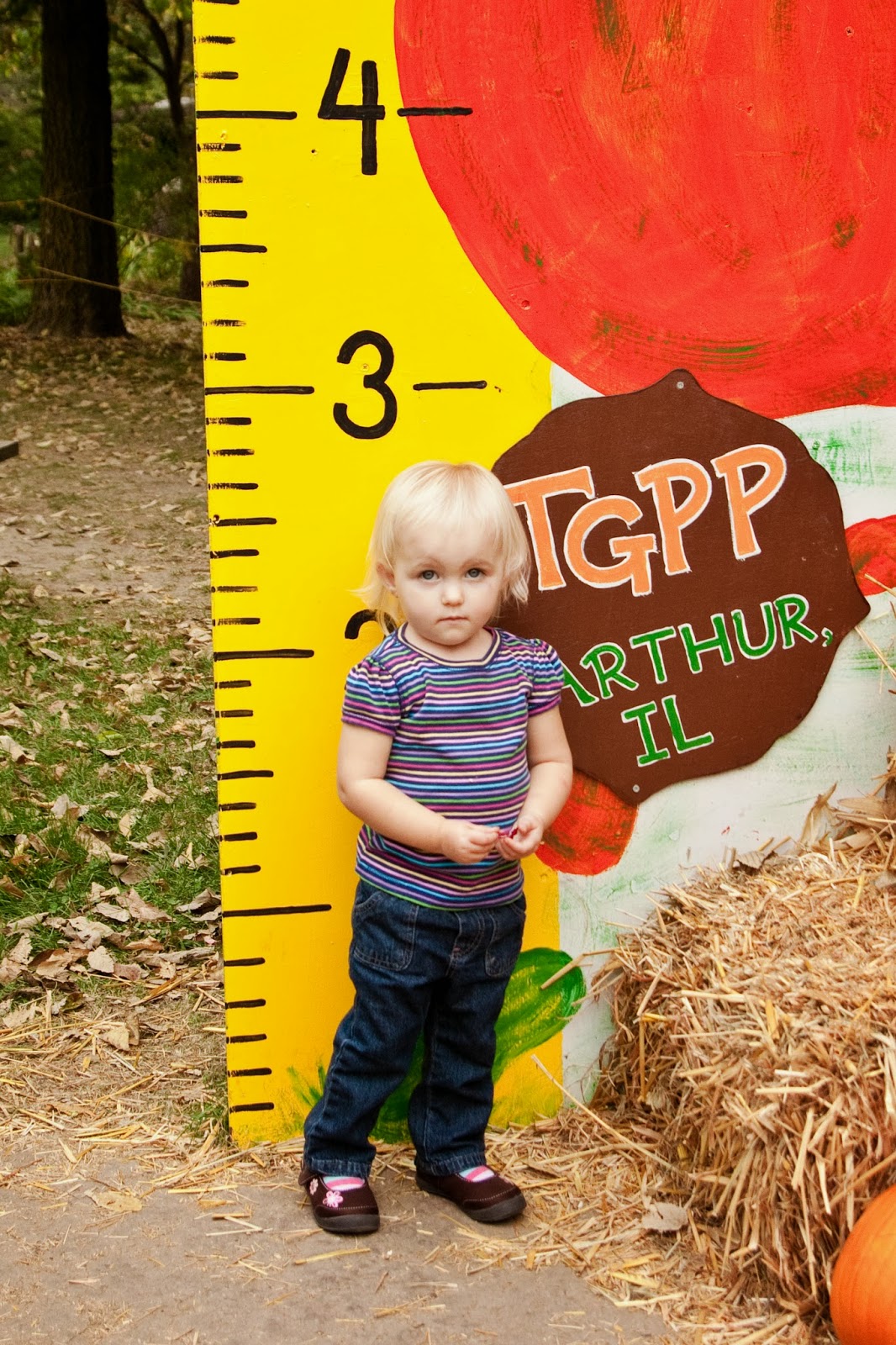 emily's photo blog: October 12: Martha Stewart Day