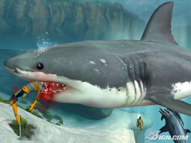 The Amerdale Review: The Brilliance of ... "Jaws"