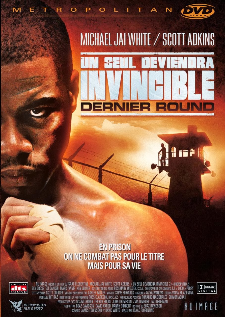 El mundo de las artes marciales en el cine: febrero 2014