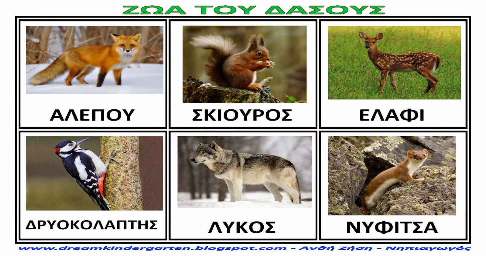 Το νέο νηπιαγωγείο που ονειρεύομαι : Ζώα του δάσους με ρεαλιστικές ...
