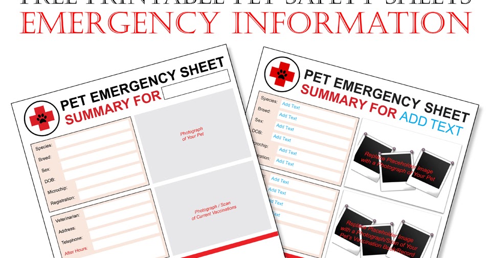 Free Printable Pet Information Sheet - prntbl.concejomunicipaldechinu ...