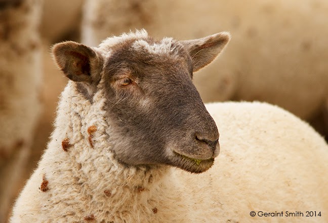 Geraint Smith Photography: Around the Block #2